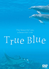 BGV:SD-DVD True Blue | 商品情報 | 日本コロムビアオフィシャルサイト